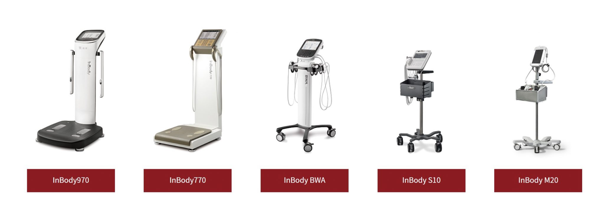 インボディ(Inbody)活用ブログ